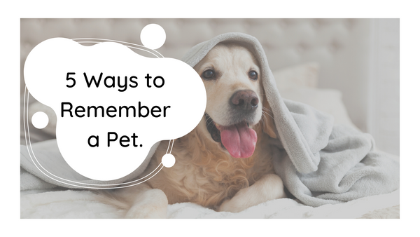 5 Ways to Remember a Pet - Living Memorial